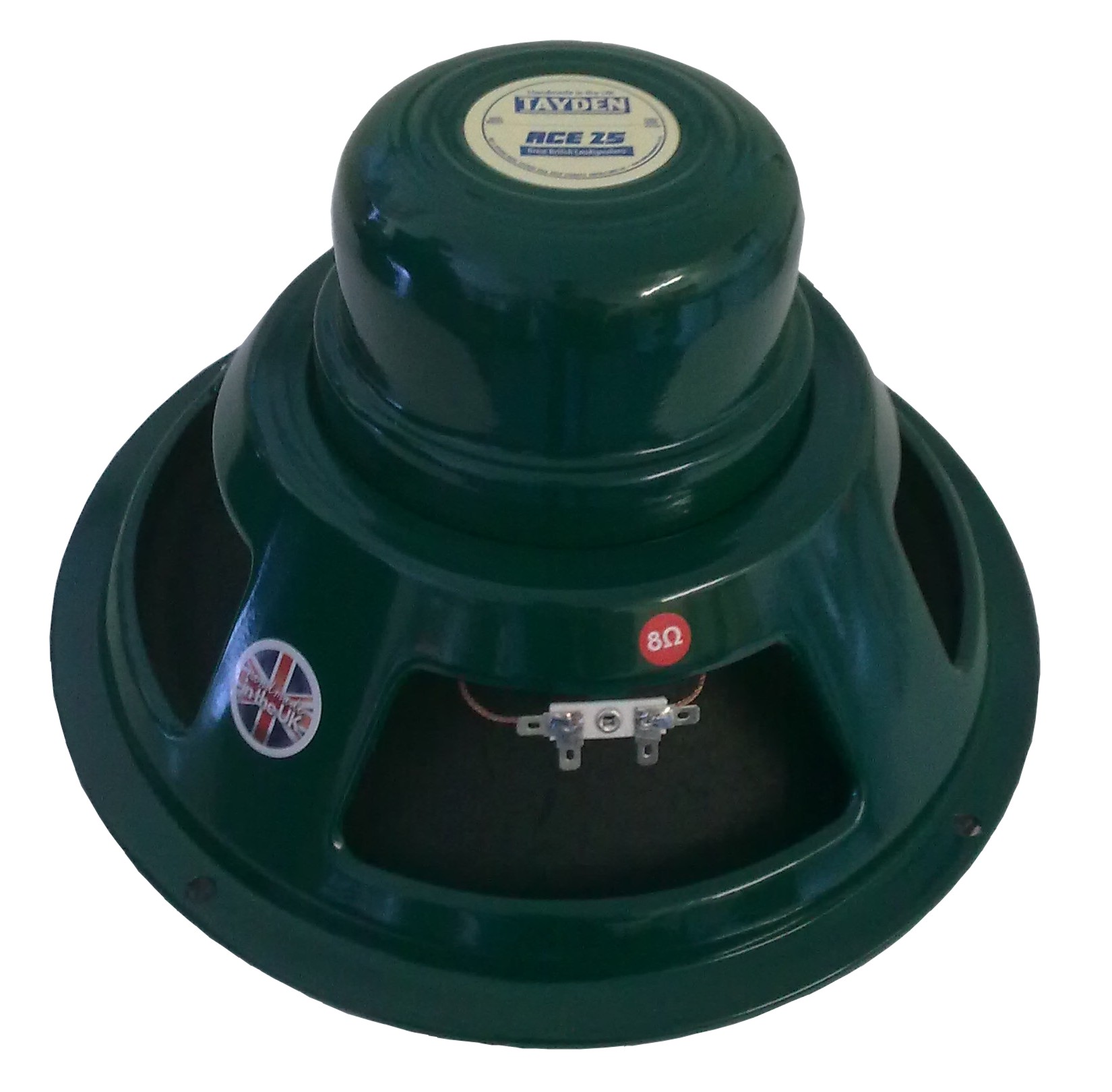 Tayden Guitar Speakers
