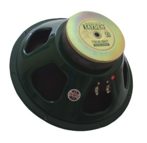 Tayden Guitar Speakers